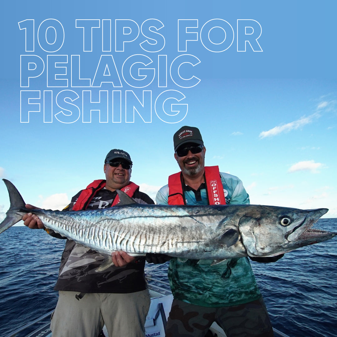Top 10 Pelagic Fishing Tips – Mark Berg's Fishing Addiction