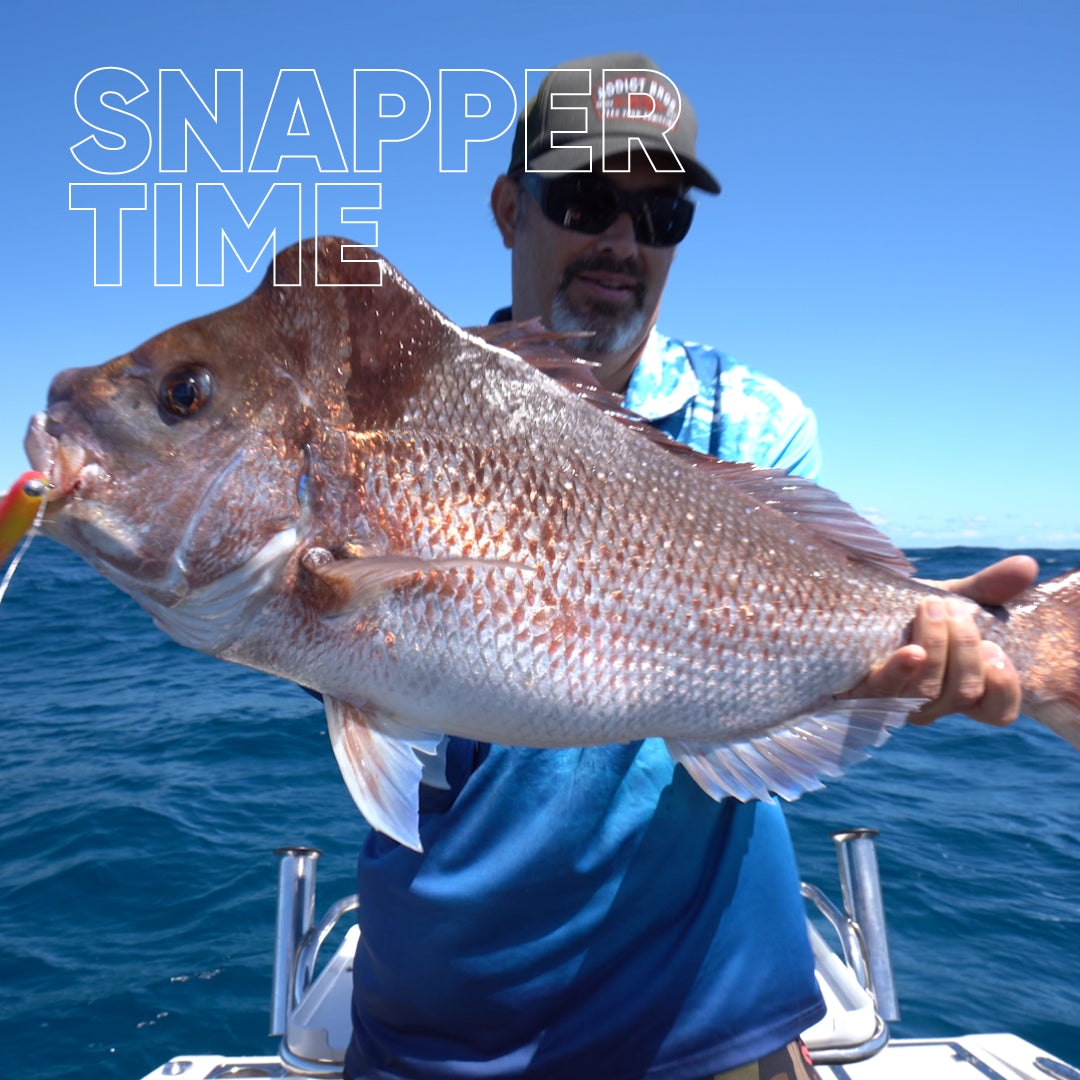 Snapper time! – Mark Berg's Fishing Addiction