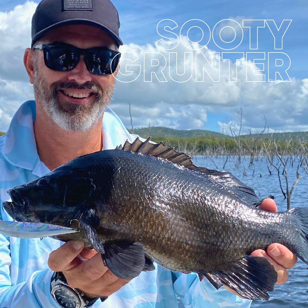 Sooty Grunter – Mark Berg's Fishing Addiction